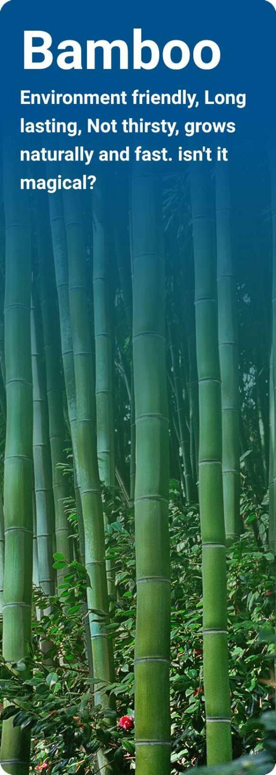 Bambooram Agro Pvt. Ltd. | Everything About Bamboo Farming