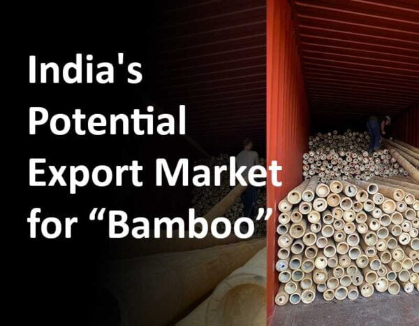 Export Opportunity for India in Bamboo